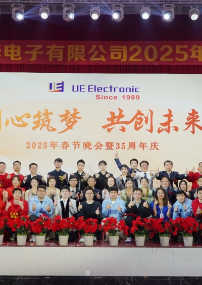 Power Supply Adapter Supplier - UE Electronic